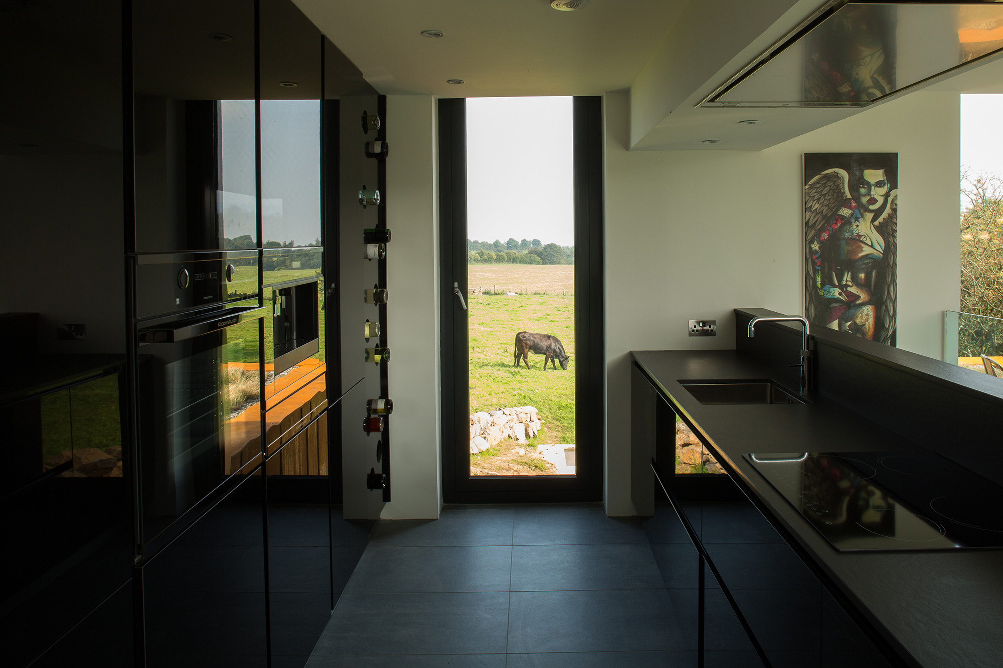 Grillagh Water Container House from Ireland