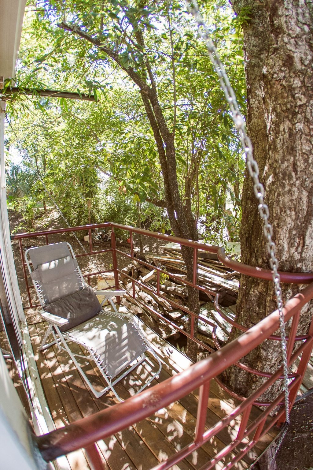A Container House Under Tree Branches - Brazil