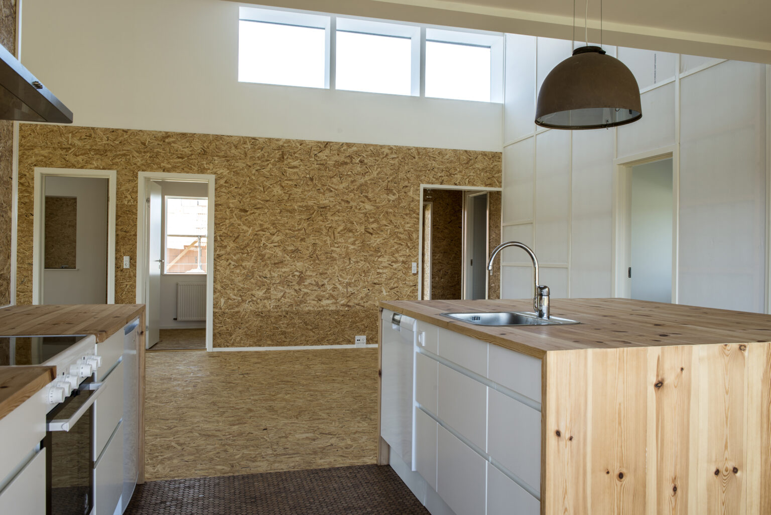 Shipping Container House Built from Processed Recycled Materials in Denmark