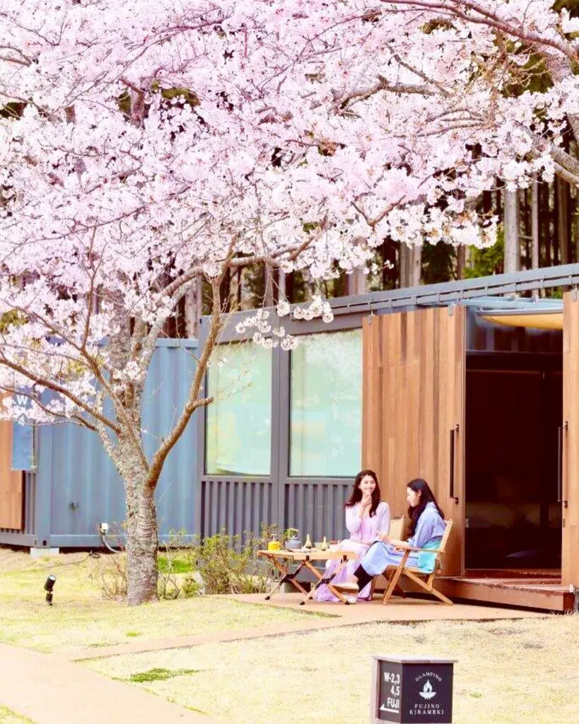 Glamping Facility of Container Houses with Panoramic Views