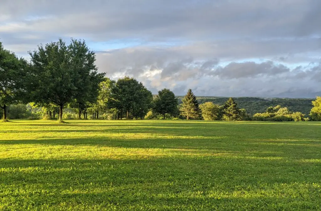 Breathtaking Shipping Container Transformation- Living in a Container