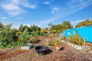 $220,000 Blue Container Home in New Zealand