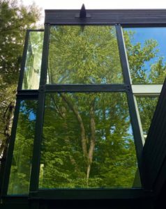 Shipping Container Home in Center of Trees