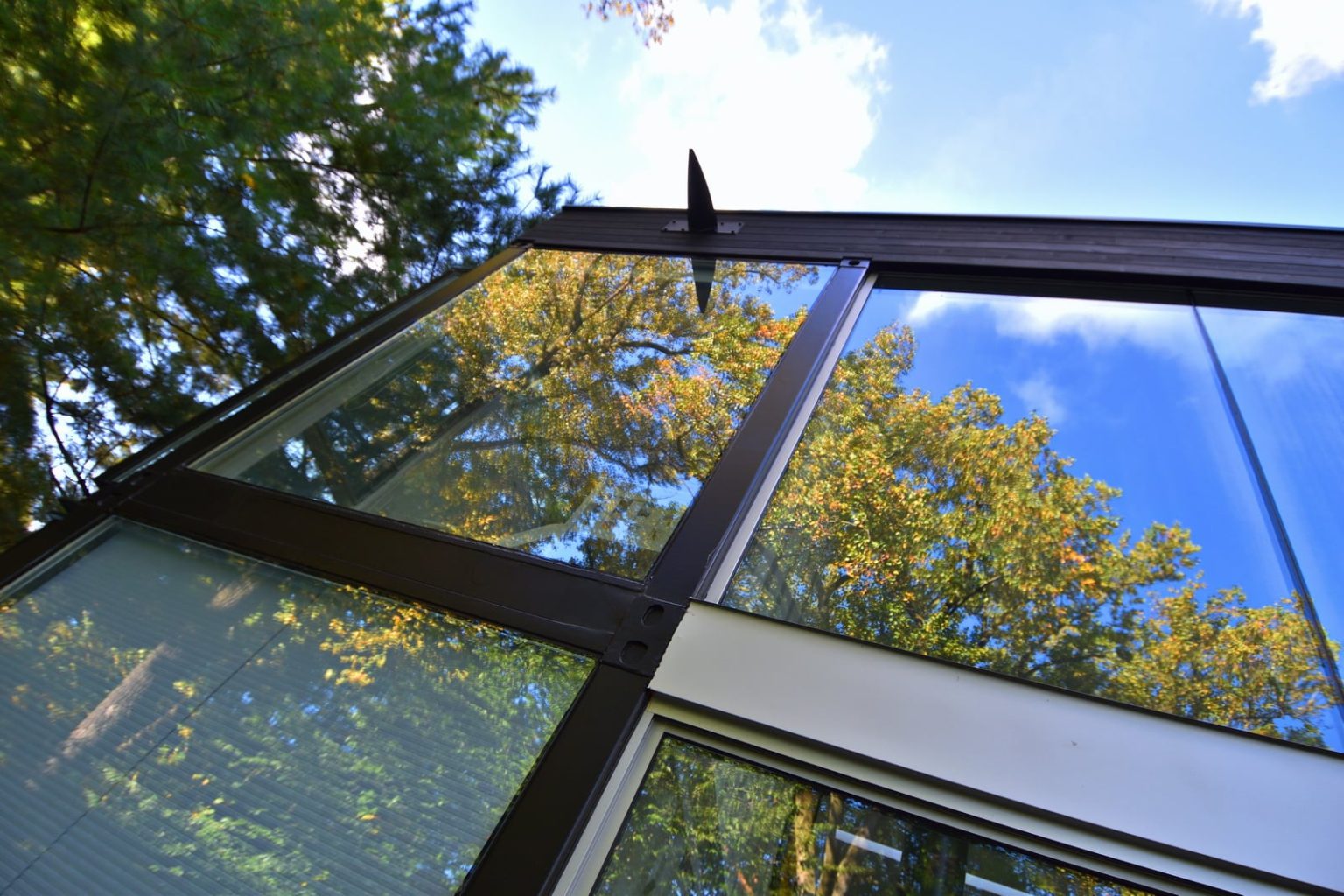 Shipping Container Home in Center of Trees