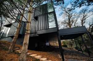 Shipping Container Home in Center of Trees