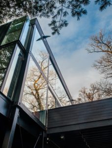 Shipping Container Home in Center of Trees