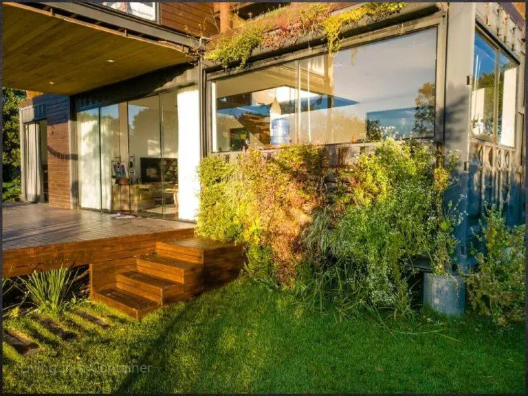 Container House with Amazing Greenery! | Living in a Container