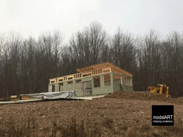 Turning Shipping Containers into Art: An Inspiring Journey