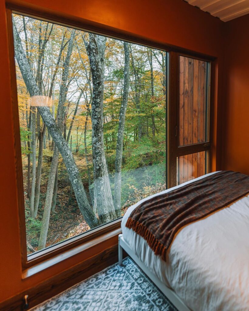 Design Dominating the Valley: Emily & Seth's Ellwood Box Hop Container Home