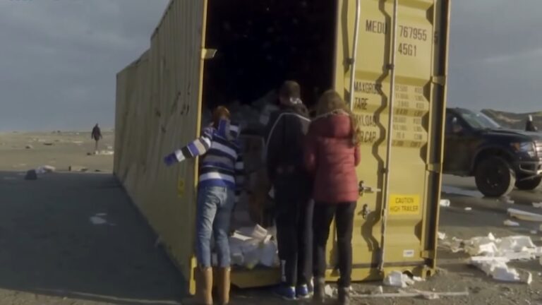 What exactly happens to the containers that cargo ships drop into the ...